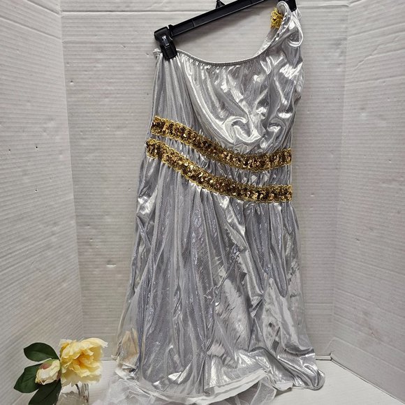 Costume | Dresses | Womens Teen Costume Venus Diva Metallic Silver Gold ...